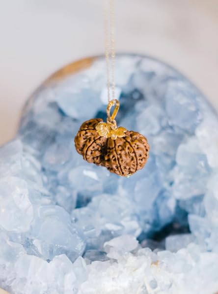 Gemstone Industry Nepali Rudraksha Bead GAURI SHANKAR RUDRAKSHA IN GOLD ...