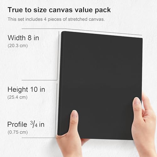 Snapklik.com : Black Stretched Canvas, 8x10 Inch/4 Pack - 3/4 Inch ...