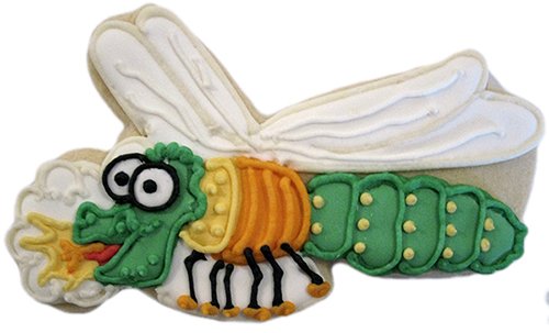 Amazon.com: Dragonfly 2 Decorated Sugar Cookie : Grocery & Gourmet Food