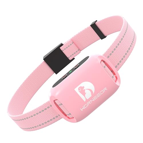 Cat Shock Collar – The 15 best products compared - Wild Explained