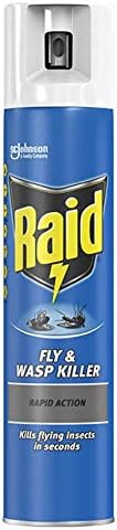 RAID Fly & WASP Killer 300ML : Amazon.co.uk: Garden
