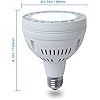 Amazon.com : Allisable 12V 50W LED Pool Light Bulb, 5000LM 6000K ...
