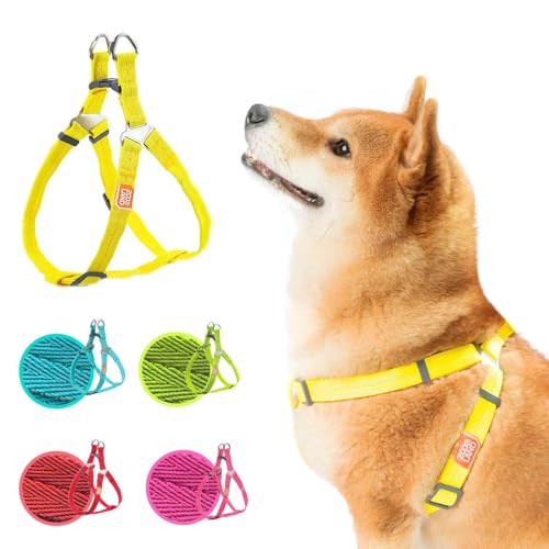 Yellow Dog Harness – The 15 best products compared - Wild Explained