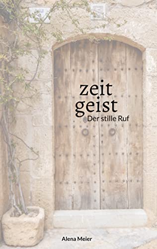 zeitgeist: Der stille Ruf (German Edition) eBook : Meier, Alena: Amazon ...