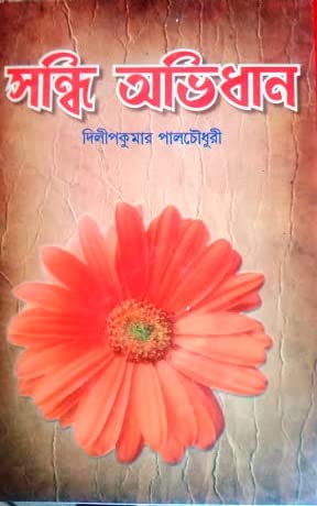 Sandhi Abhidhan [Hardcover] Dilip Kumar Pal Choudhury : Dilip Kumar Pal ...