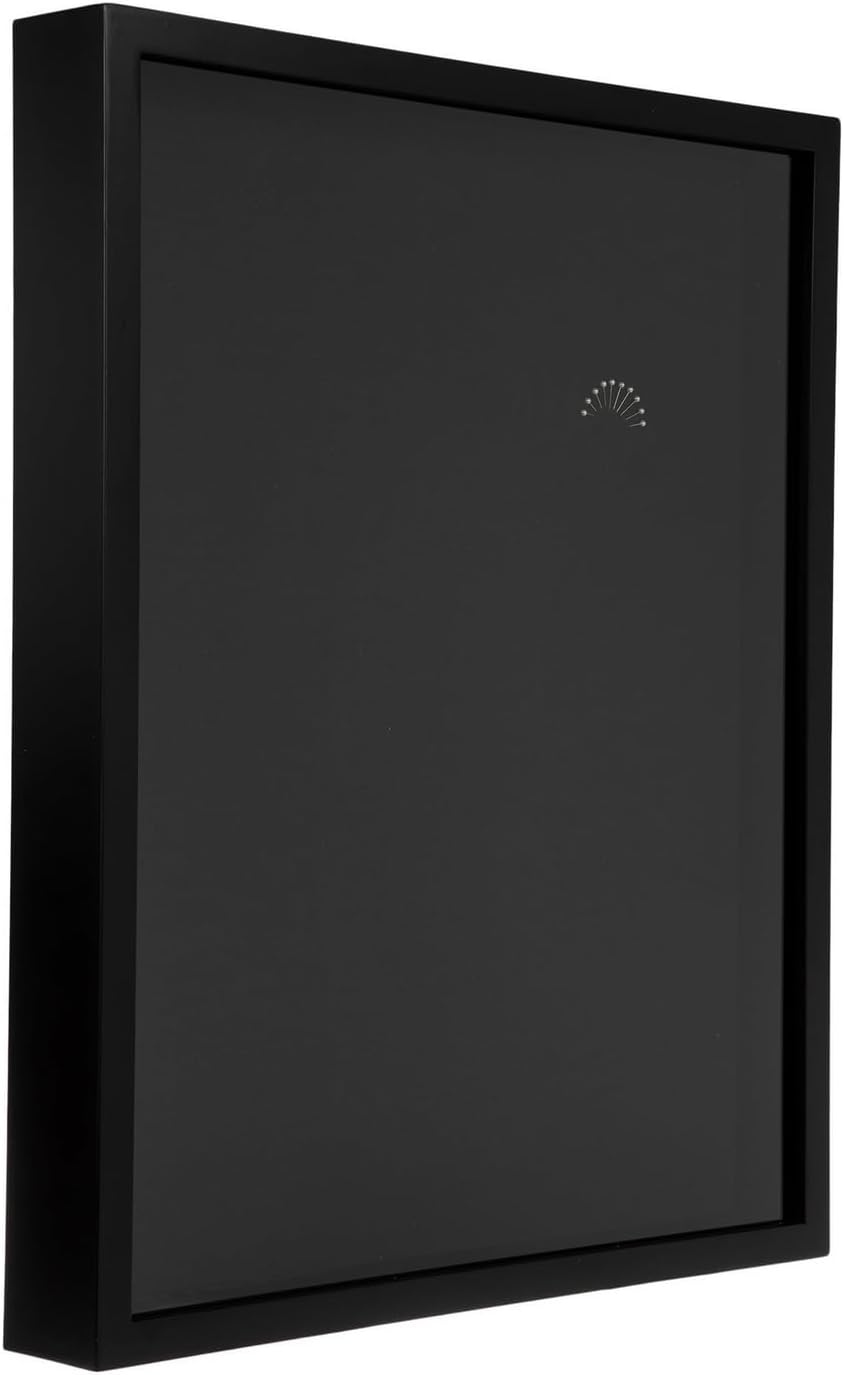 Amazon.com: Hobby Lobby Jersey Display Case, Black, 29 x 23 inches, 2 ...