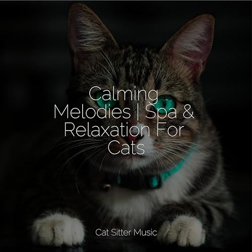 Amazon MusicでJazz Music for Cats, Music for Cats Project & Music for ...