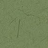 Amazon | 壁紙屋本舗 壁紙 生のり付き クロス 緑 グリーン 和紙調 無地 サンゲツ RE55695 幅92.5cm×切り売り m単位 【受注生産品・キャンセル不可】 | 壁紙