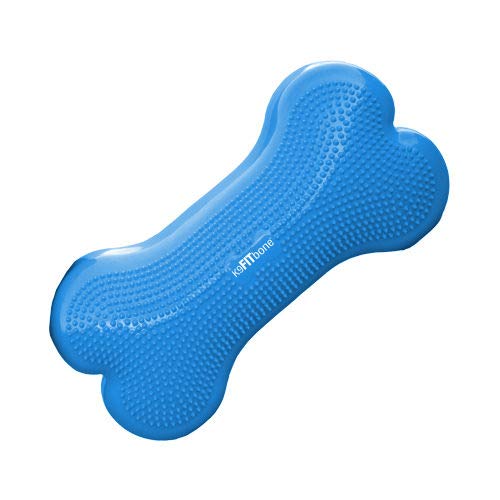 Ball Dynamics Fpkbone Razzle Berry K9 Fitbone Balance Training Device ...