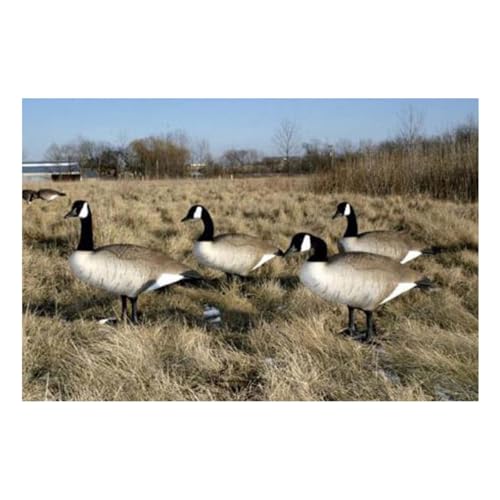 Bigfoot B2 vs Originals? Here's what to know - WaterfowlChoke