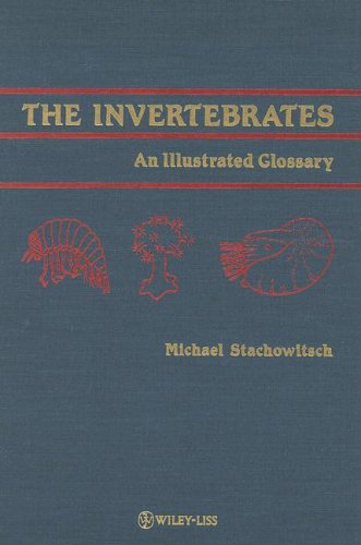 The Invertebrates: An Illustrated Glossary: Stachowitsch, Michael ...