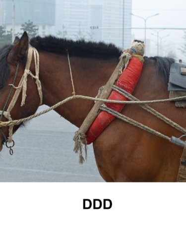 DDD (Modes): Maybe, Chi, Bernhardsson, Erik: 9789198138856: Amazon.com ...