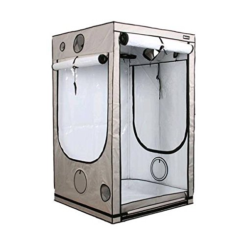 Homebox Ambient Q120 – Die 15 besten Produkte im Vergleich & Angebote ...