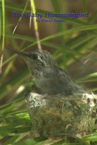The Baby Hummingbird: Butler, David: 9781499139945: Amazon.com: Books