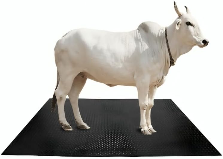 MRF Cow Mat 8 x 5 Feet, 30 mm Thick Waterproof and Easy to Clean Pure ...