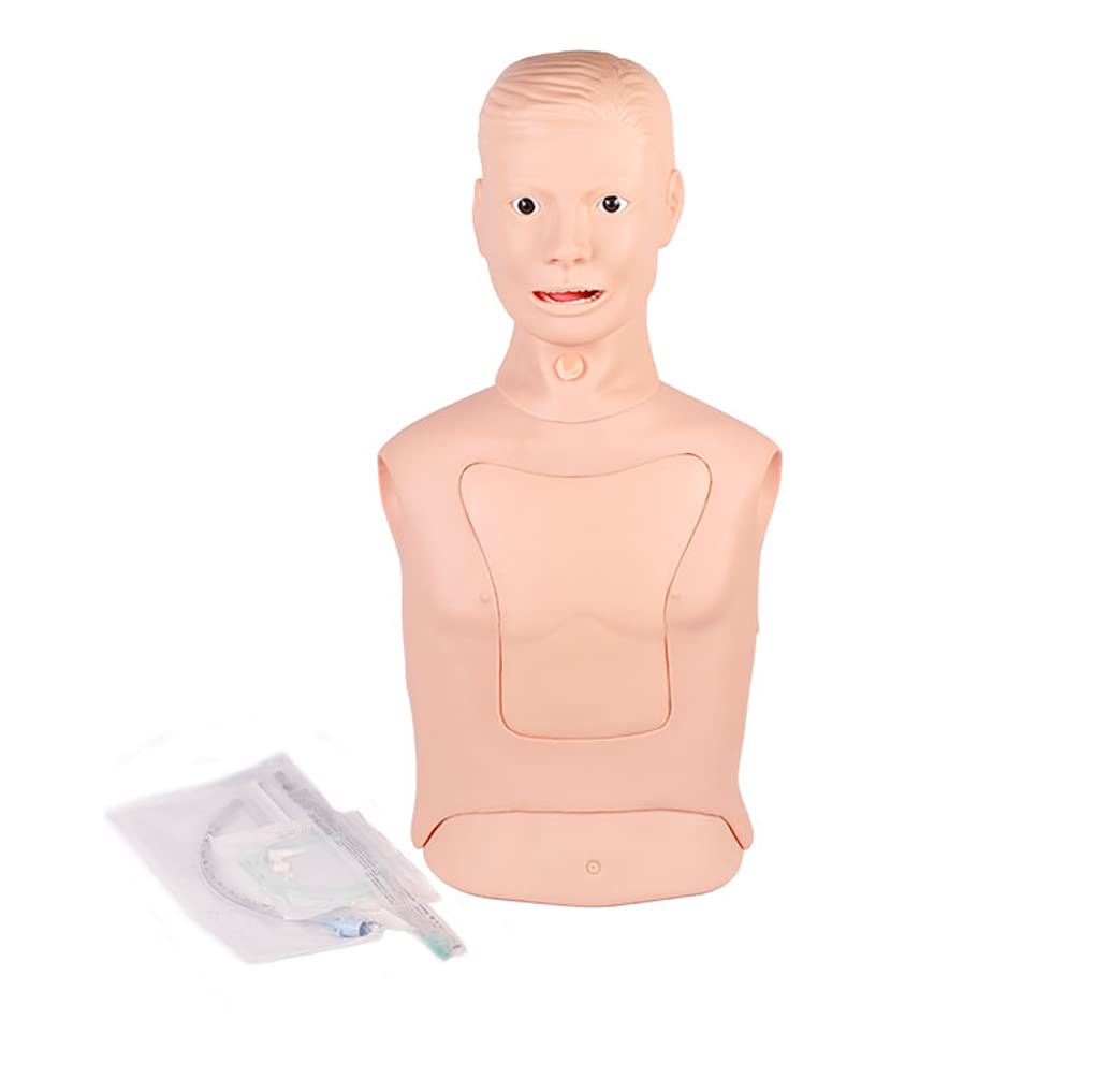 Buy UIGJIOG Half Body Nursing Model Airway Intubation Half Body Manikin ...