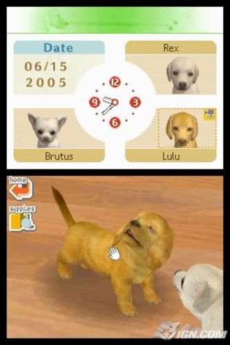 Nintendogs Labrador Retriever & Friends (Nintendo DS) : Amazon.co.uk ...