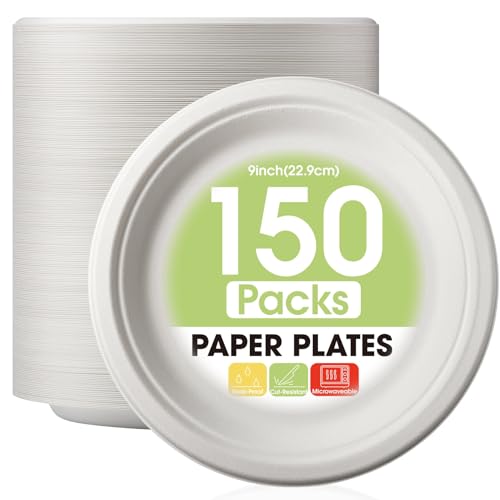 Find The Best Heavy Duty Paper Plates Reviews & Comparison - Katynel