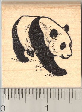 Amazon.com: Giant Panda Rubber Stamp : Toys & Games