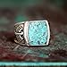 Amazon.com: SUKKCCNO Vintage 925 Silver Hawk Turquoise Ring for Men ...
