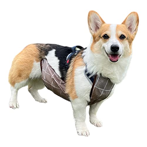 10 Best Dog Chest Protector