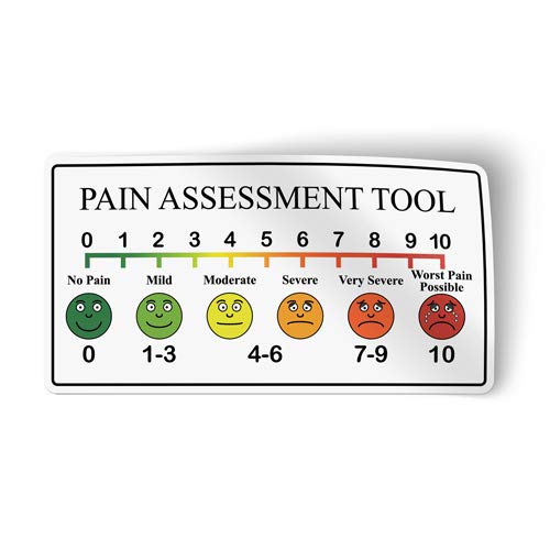 Vinyl Sticker for Pain Assessment Tool Reference 8" x 4" : Amazon.in ...