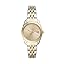 Amazon.com: Fossil Women's Scarlette Mini Quartz Stainless Steel Three ...