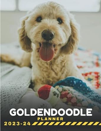 Goldendoodle 2023 2024 calendar: Goldendoodle dog Two Years monthly ...