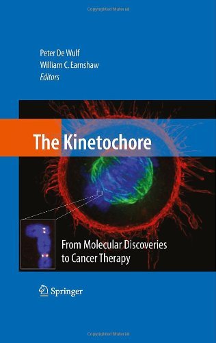 Amazon.com: The Kinetochore: From Molecular Discoveries to Cancer ...