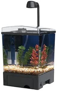Tetra LED Aquarium Kit 1.5 Gallon Cube : Buy Online at Best Price in ...