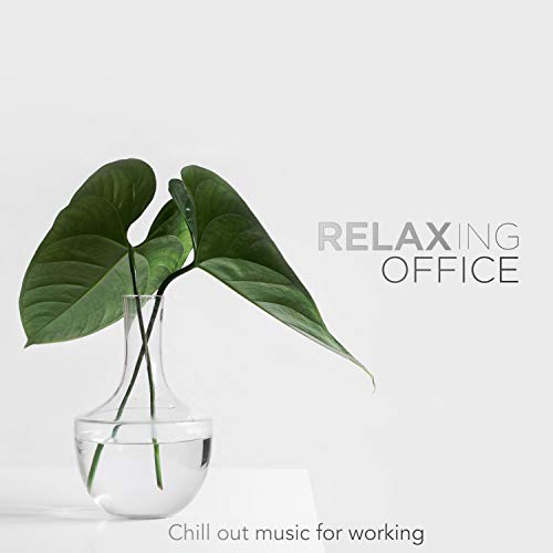 Relaxing Office - Chill Out Music for Working : VARIOUS ARTISTS: Amazon ...