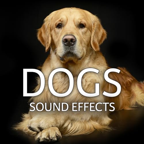 Spiele Dogs Sound Effects von Sound Ideas auf Amazon Music ab