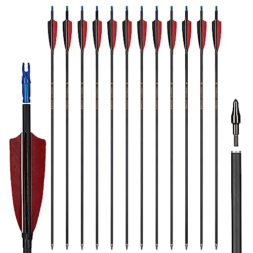 Carbon Pfeile – Die 15 besten Produkte im Vergleich - Ruegeninsel