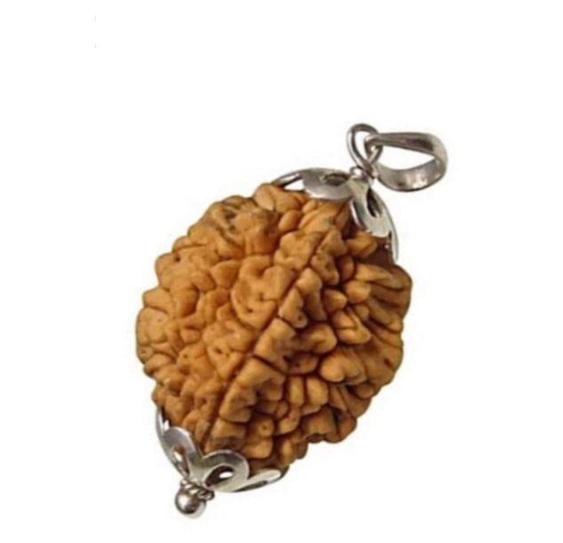 Buy QUARA Gems Do Mukhi Rudraksha Nepal Original Certified Nepali Beads ...