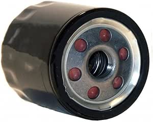 Amazon.com: For Kenworth T880 2013-2019 Oil Filter | Lube Service ...