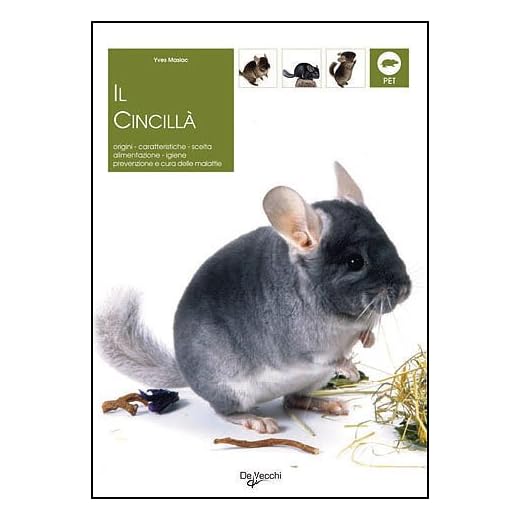 Cincillà, la guida completa per principianti su cura, alimentazione e ...