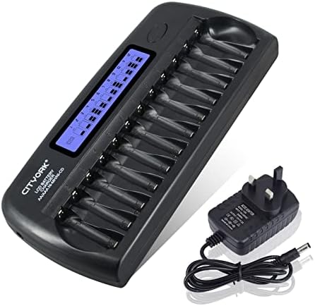 CITYORK Smart LCD Charger with 12 Slots and Built-in IC Protection, for ...
