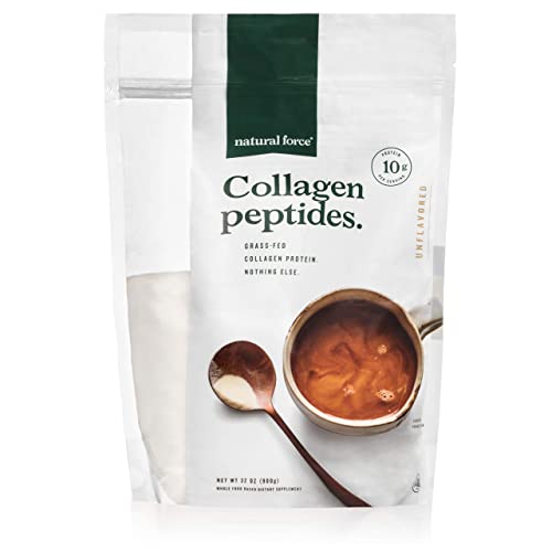 Everything You Need to Know About Collagen Supplements - The Fitness Tribe