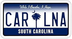 Amazon.com - South Carolina License Plate Sticker | Vinyl | Decal for ...