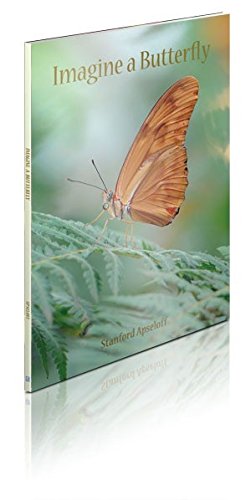 Imagine a Butterfly: Stanford Apseloff: 9781936772032: Amazon.com: Books