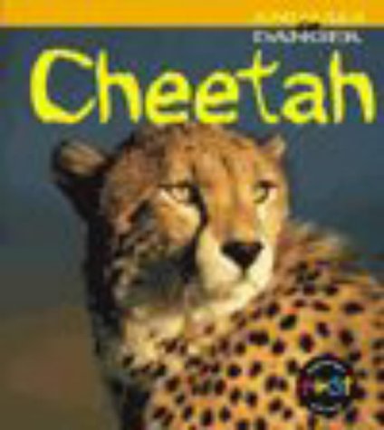 Cheetah (Animals in Danger): Rod Theodorou: 9780431001432: Amazon.com ...