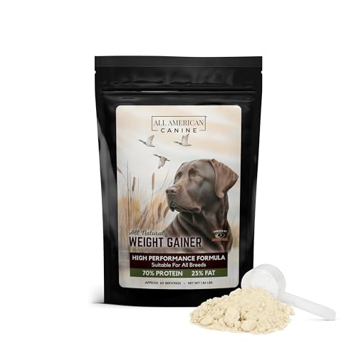 10 Best Weight Gainer For Dogs