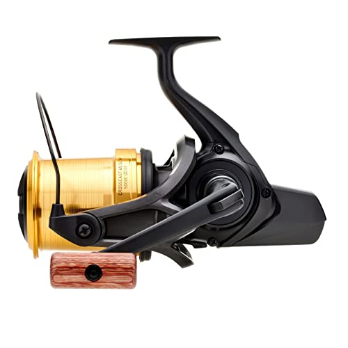 Daiwa Carp Reels – The 16 best products compared - Outdoors Magazine