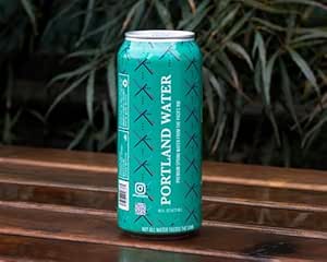 Amazon.com: 100% Pure Spring Water, 16 Oz Cans : Grocery & Gourmet Food