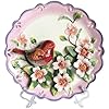 Amazon.com: FORLONG Ceramic 8" Collections Plate, 3D Hand-painted ...