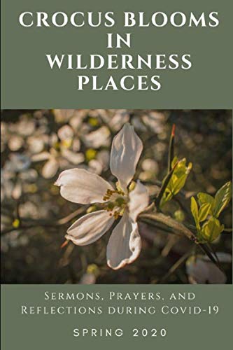 Crocus Blooms in Wilderness Places: Sermons, Prayers, and Reflections ...