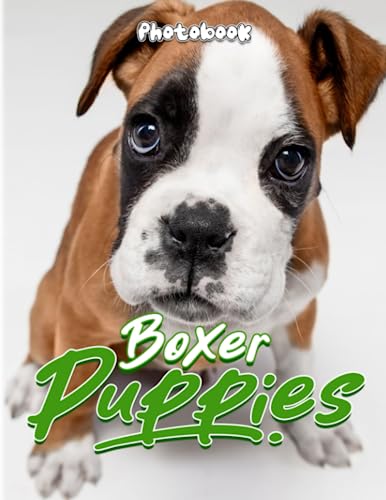 Top 10 Must-Have Products for Your Adorable Boxer Puppy: Buying Guide ...