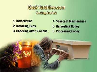 Amazon.com: Getting Started in Backyard Beekeeping with the Top Bar ...