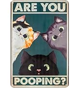 Amazon.com: FFXQCTFF Are You Pooping Cat Sign 8x12 Inch Funny Bathroom ...