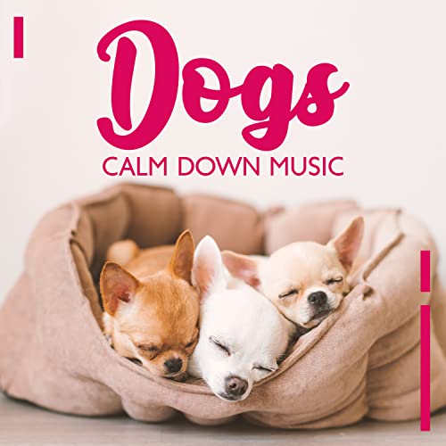Écouter Dogs Calm Down Music (Relaxed Animal) par Calm Pets Music ...